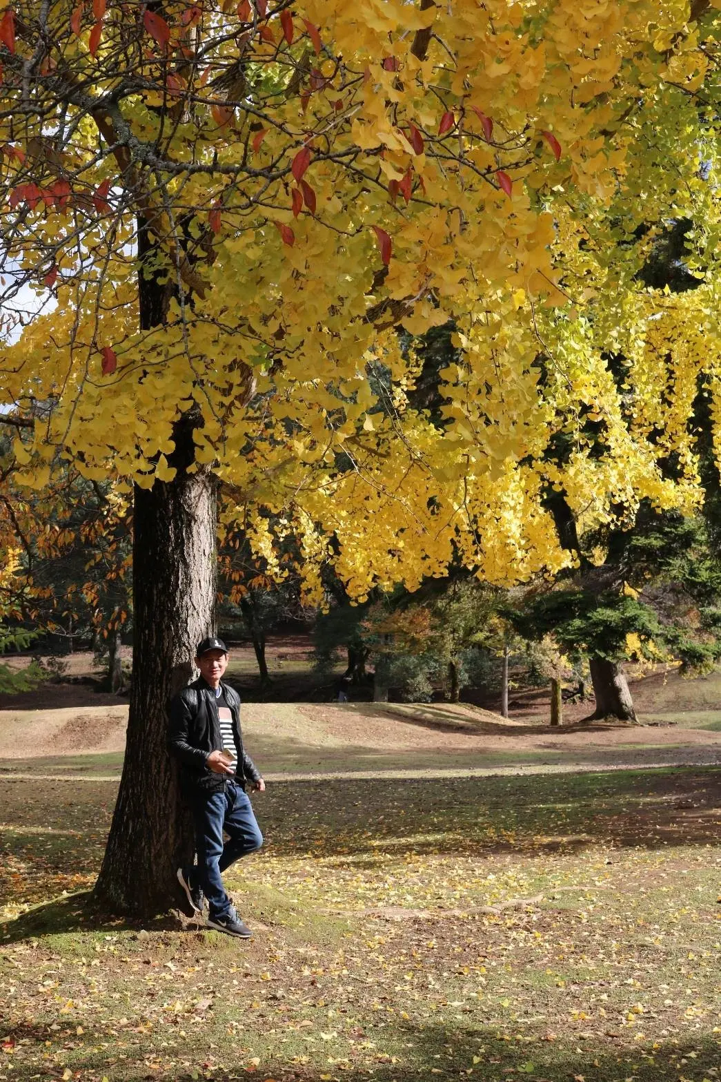 อัลปั้มเพลง iok2u (IOK2U Music) - iok2u.com