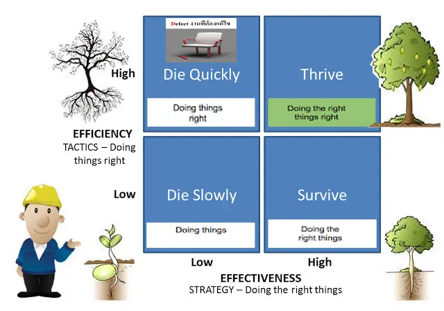 ประสิทธิภาพ (Efficient) กับประสิทธิผล (Effective) - iok2u.com