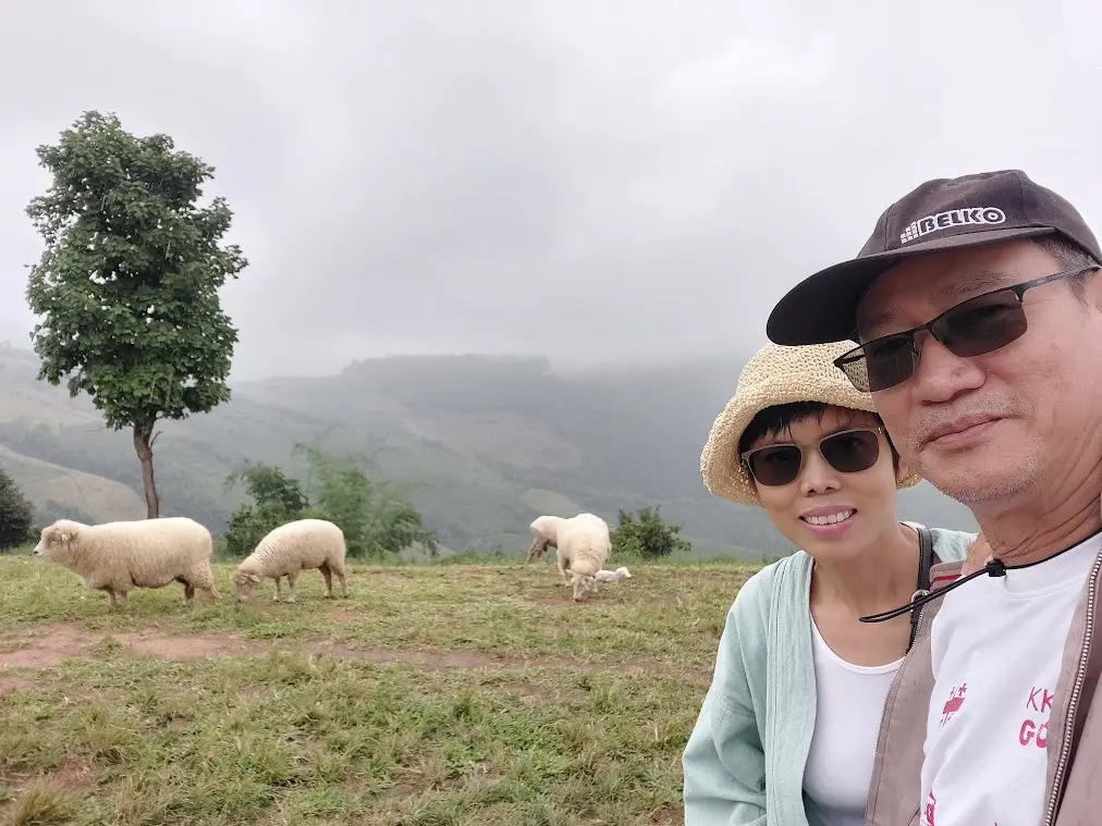 เที่ยวเชียงราย แม่สรวย ฟาร์มแกะคาเฟ่สไตล์อาข่า (Akha Farm Ville ...