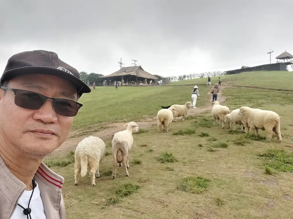 เที่ยวเชียงราย แม่สรวย ฟาร์มแกะคาเฟ่สไตล์อาข่า (Akha Farm Ville ...