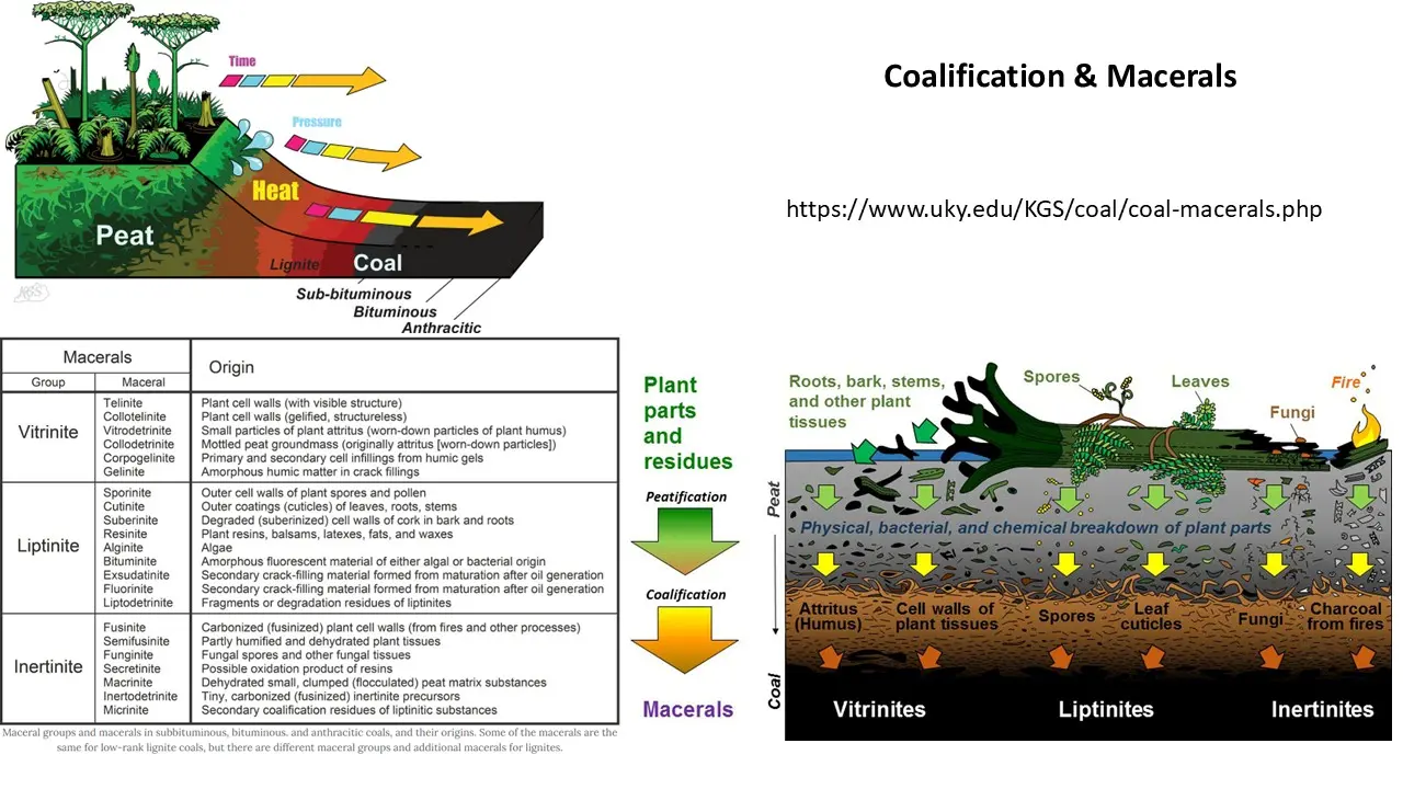 Waiyapot ep094 Coal deposits แหล่งแร่ถ่านหิน - iok2u.com