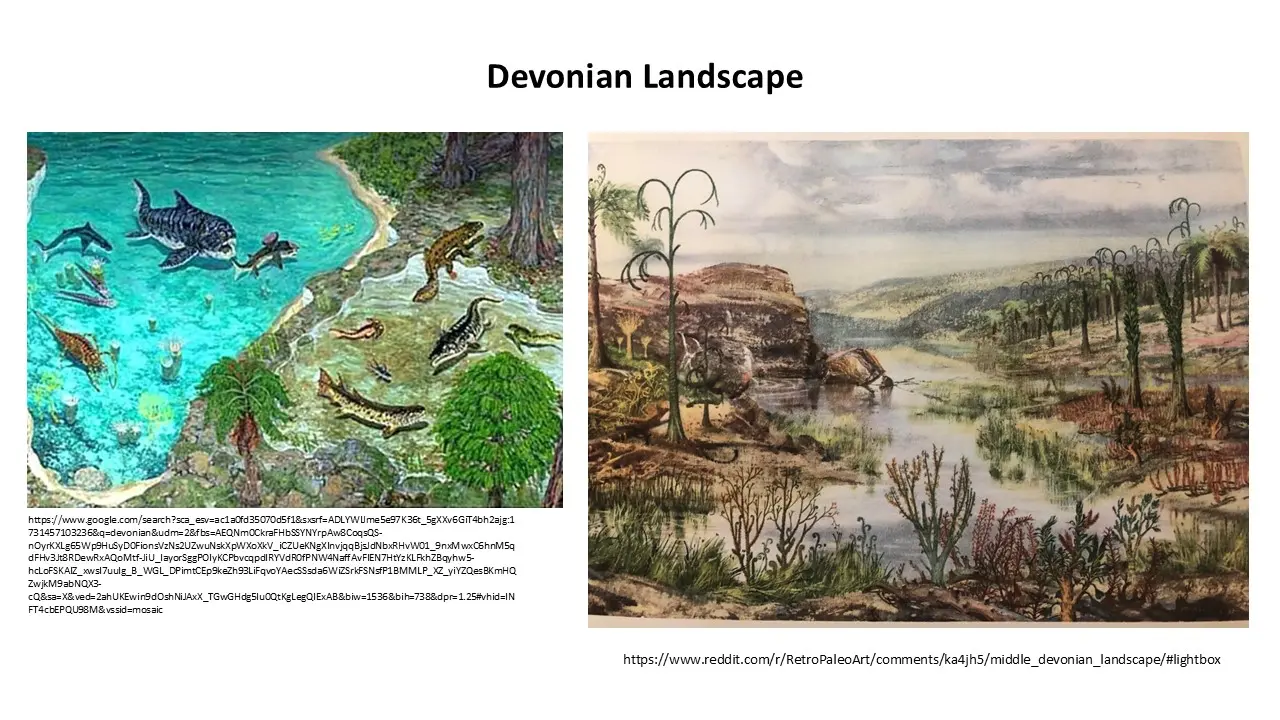 Waiyapot ep086 The Devonian Period ยุคดีโวเนียน - iok2u.com
