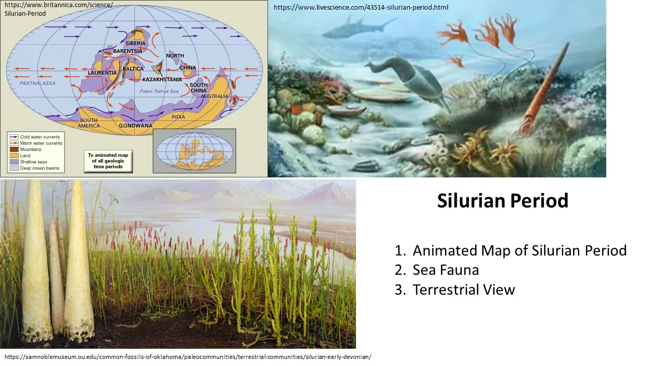 Waiyapot ep079 Silurian Period ยุคไซลูเรียน - iok2u.com