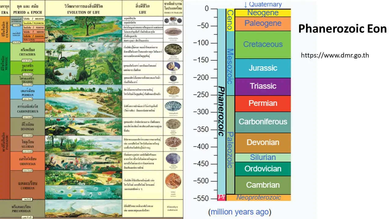 Waiyapot ep066 Phanerozoic Eon บรมยุคฟาเนอโรโซอิก - iok2u.com