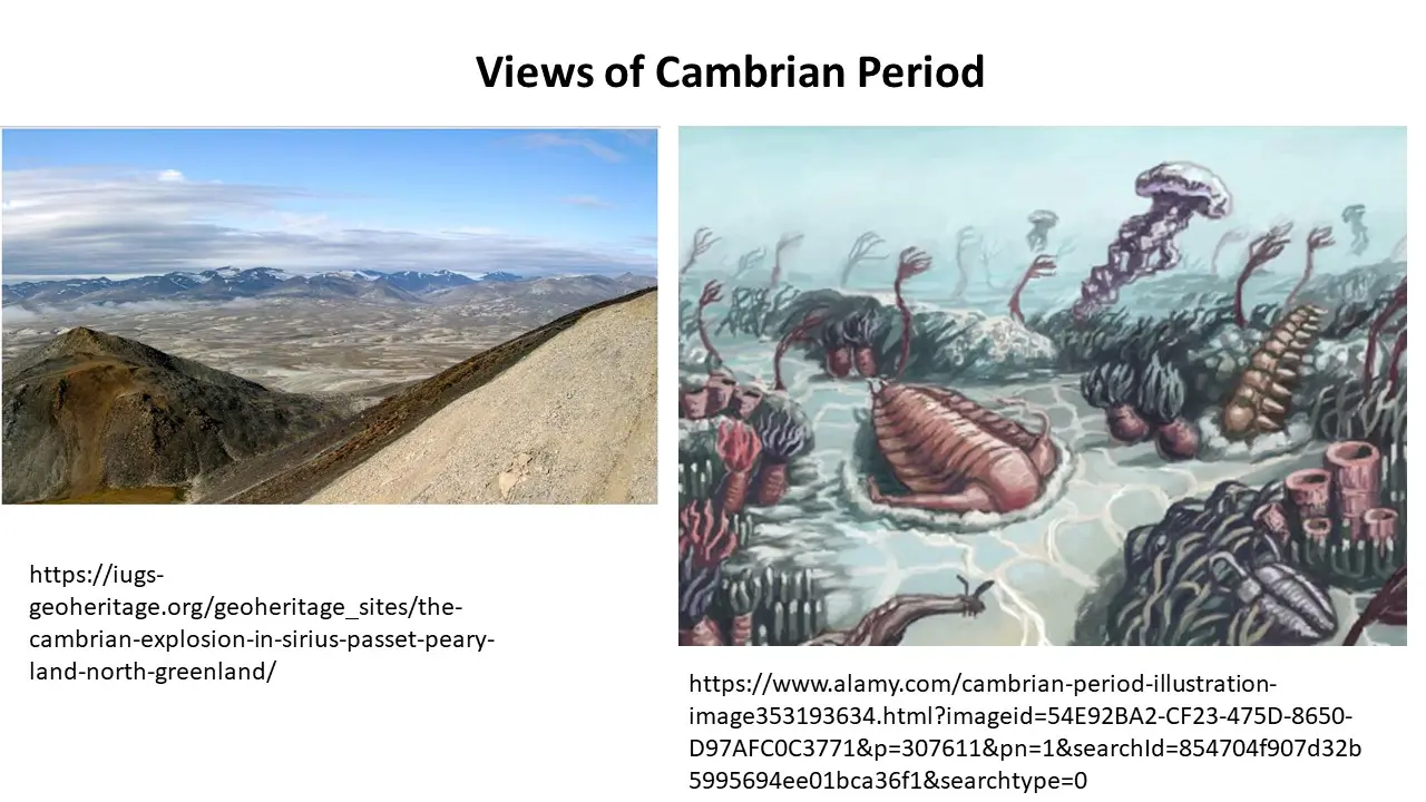 Waiyapot ep067 Cambrian Period ยุค แคมเบรียน - iok2u.com