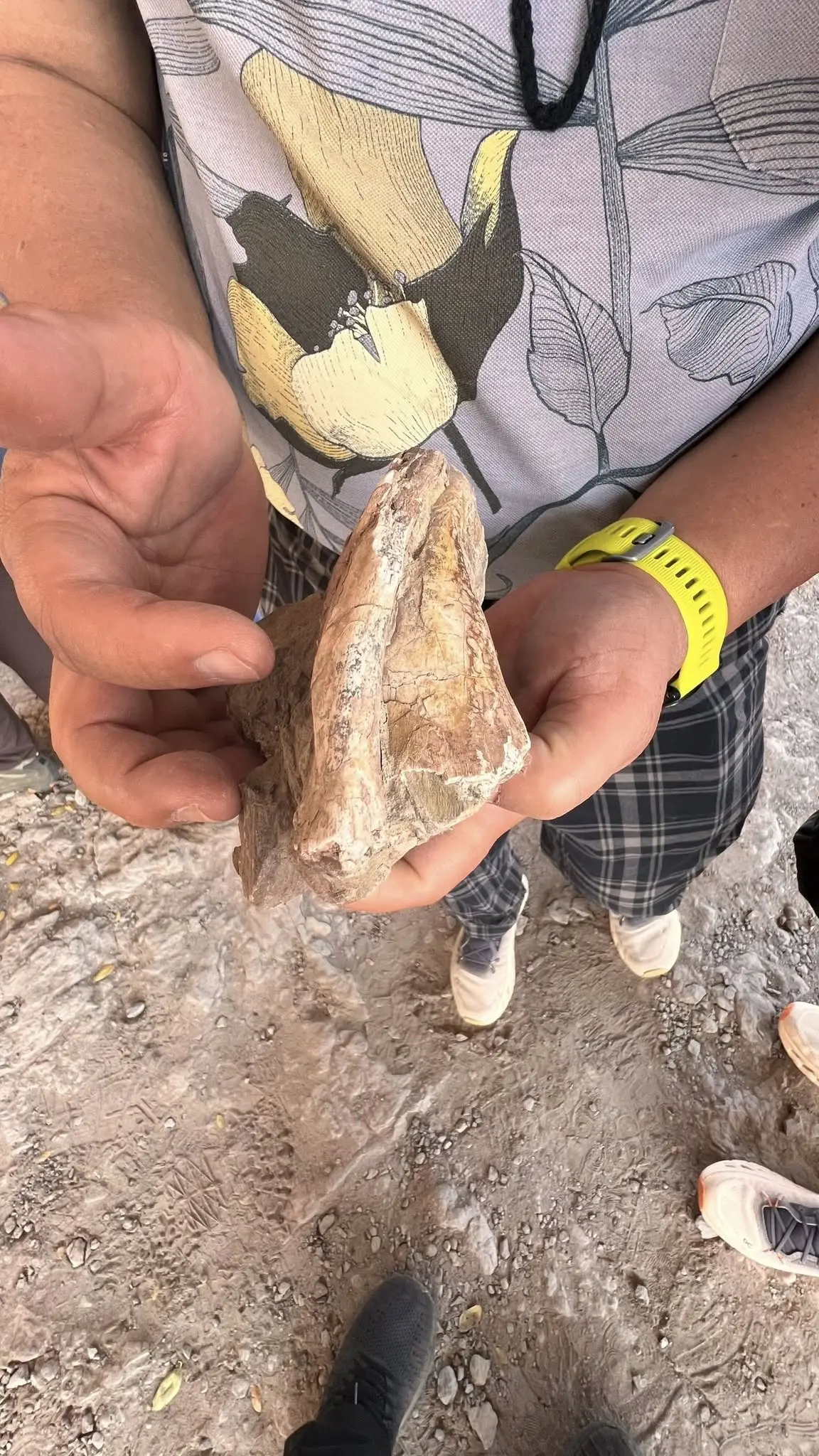 Waranon ไทย กาฬสินธิ์ สุสานไดโนเสาร์ ภูน้อย - iok2u.com