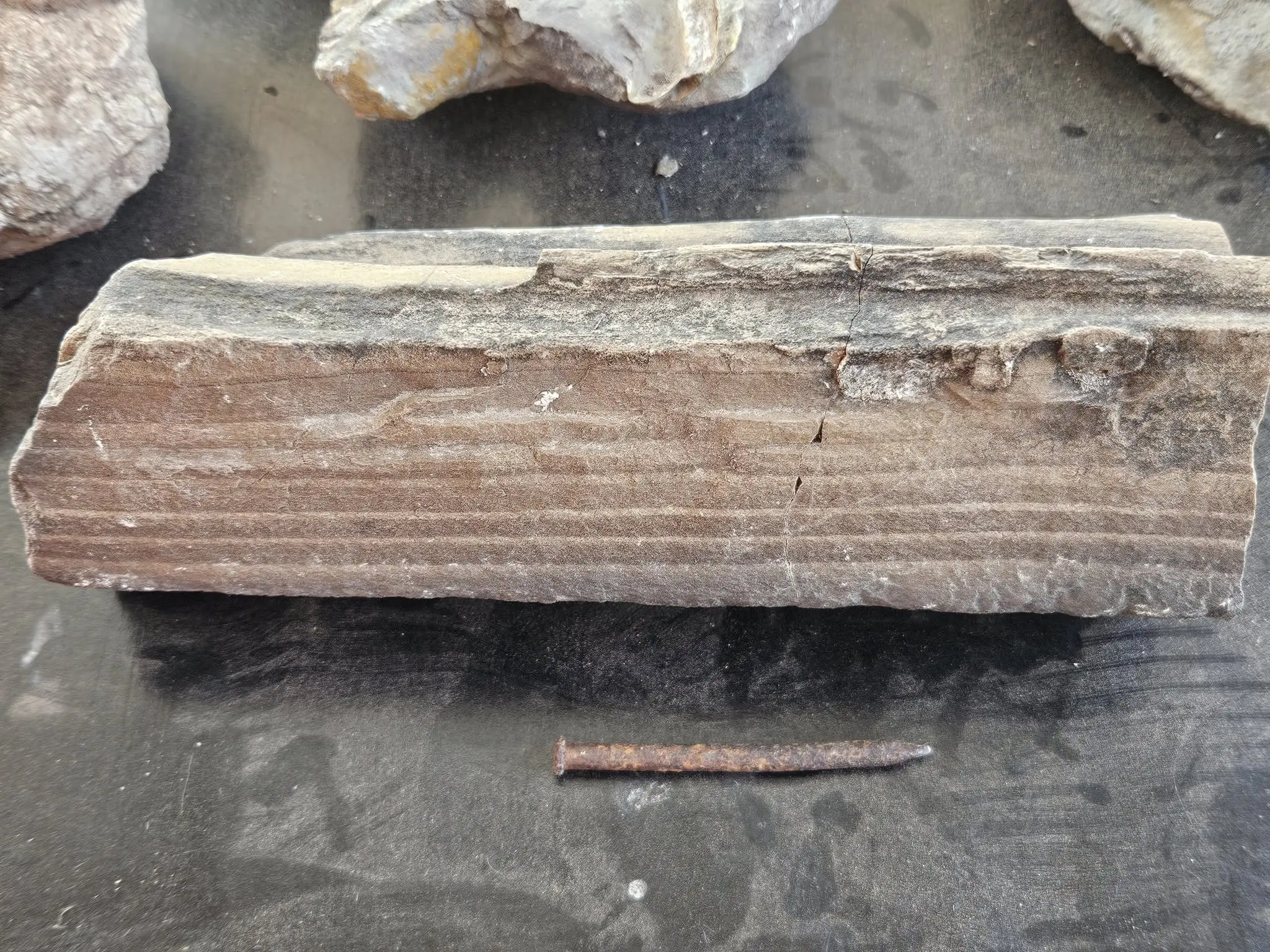 Waranon ไทย กาฬสินธิ์ สุสานไดโนเสาร์ ภูน้อย - iok2u.com