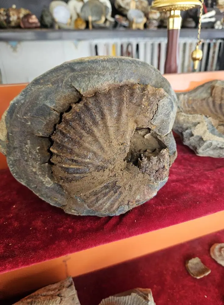 Waranon จีน ลาซา ชิกัสเส่ะ (Shigatse) - iok2u.com