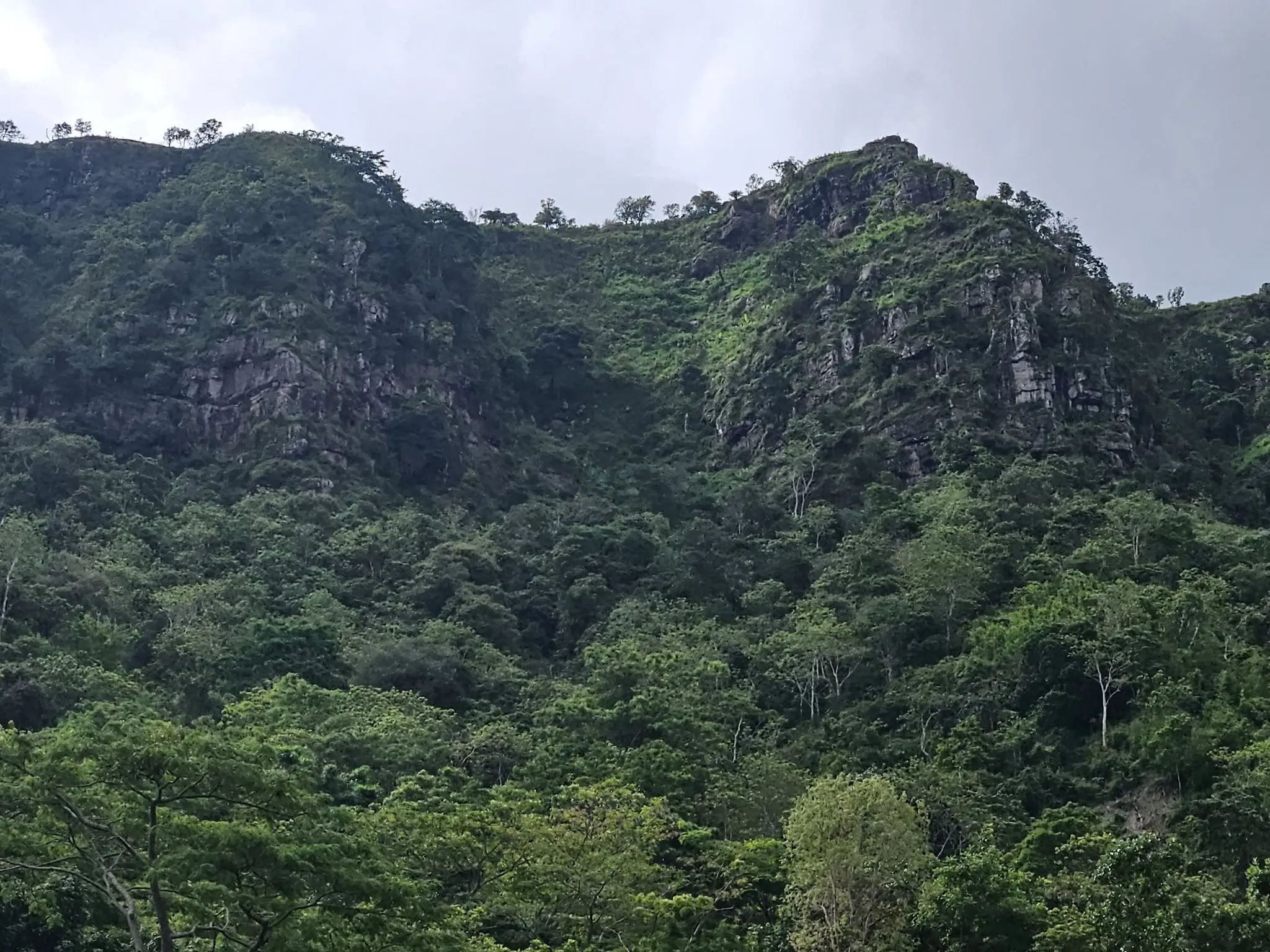 Waranon ไทย ทริปพิษณุโลก สุโขทัย - iok2u.com